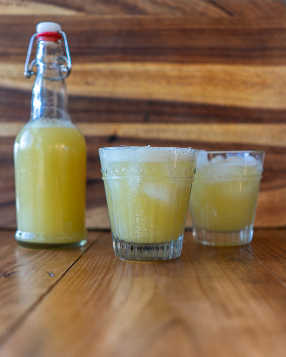 Fermented Whey Soda - Acres & Aprons
