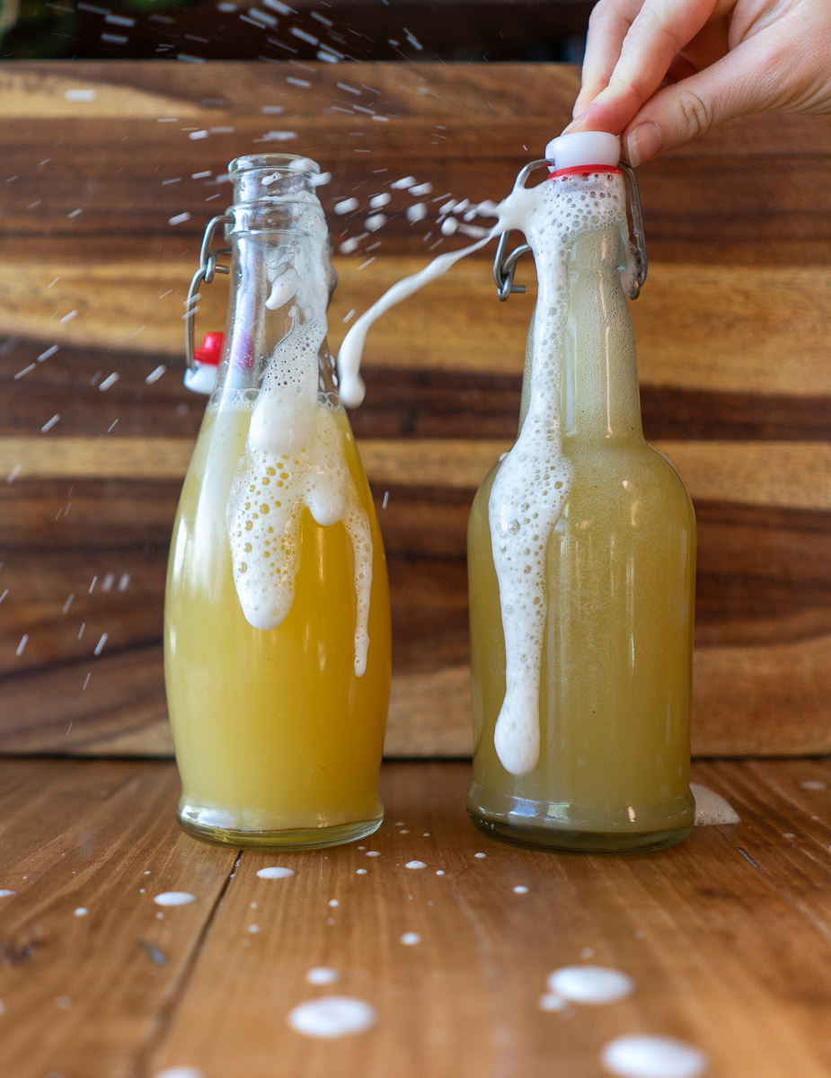 Fermented Whey Soda - Acres & Aprons